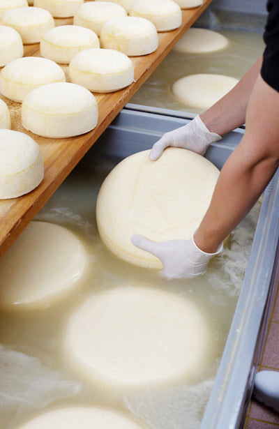CawsCenarth Cheese Shop: Visit Us