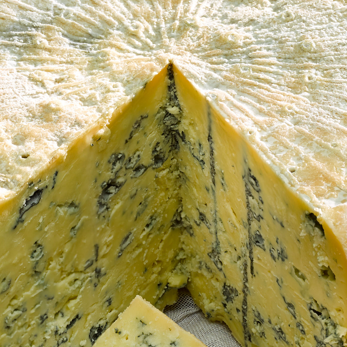 Perl Las - Organic Welsh Blue Cheese - Large Wheel 2.1KG