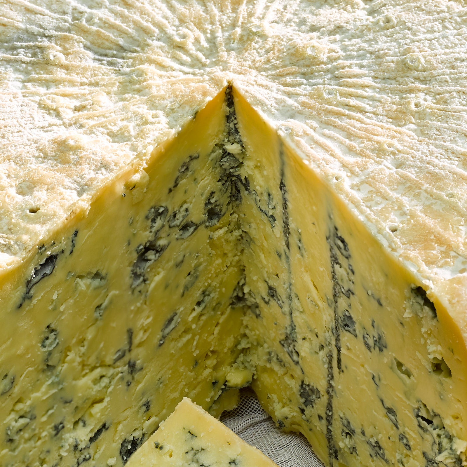 Perl Las - Organic Welsh Blue Cheese - Large Wheel 2.1KG